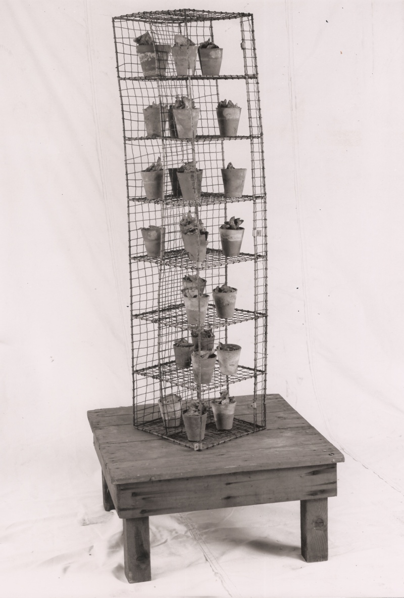 Edward Barton - Walking in the House Blog